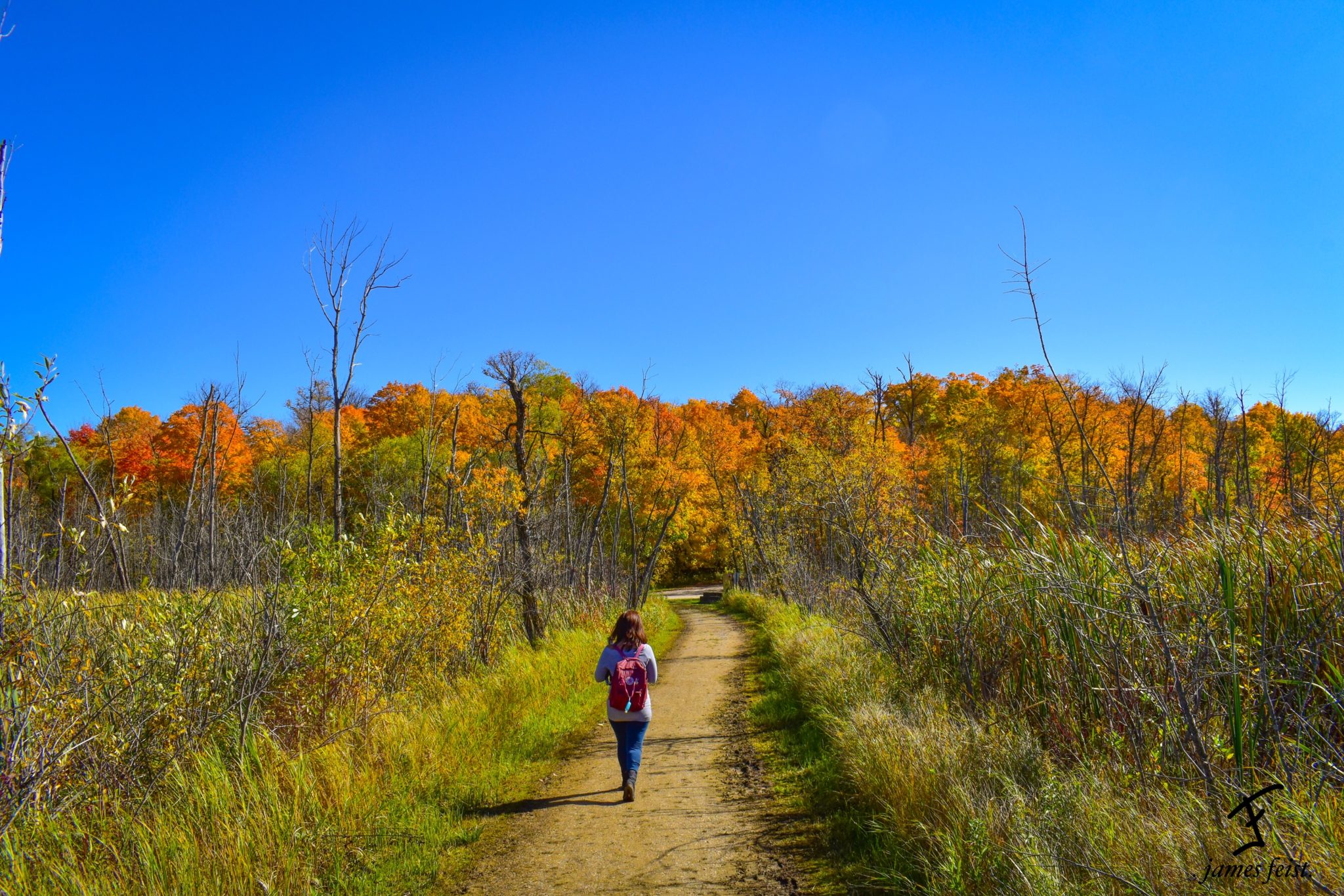 Fall Color Hotspots in the Alexandria Lakes Area - Explore Alexandria ...
