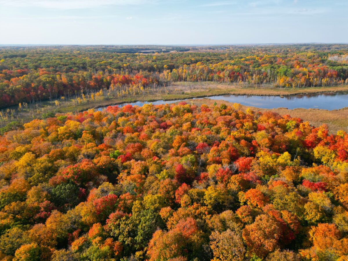 Alexandria Parks Alive With Color - Explore Alexandria Minnesota