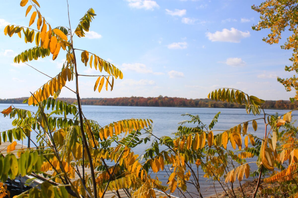 Alexandria Parks Alive With Color - Explore Alexandria Minnesota