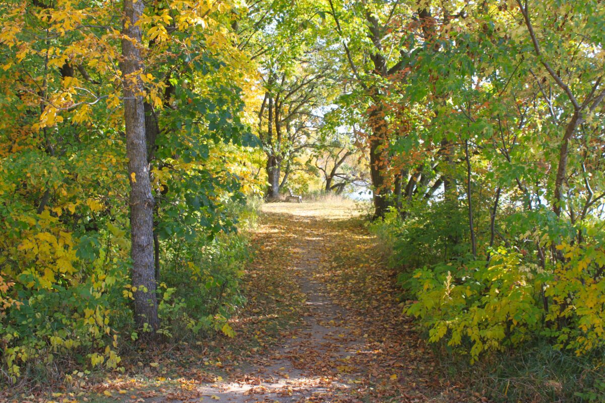 Alexandria Parks Alive With Color - Explore Alexandria Minnesota